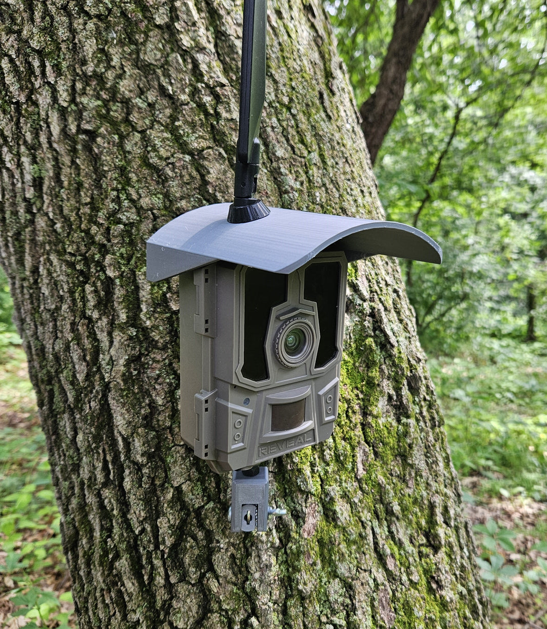 Trail and Game Camera Protection Against Weather / Rodent Shield – CamCap